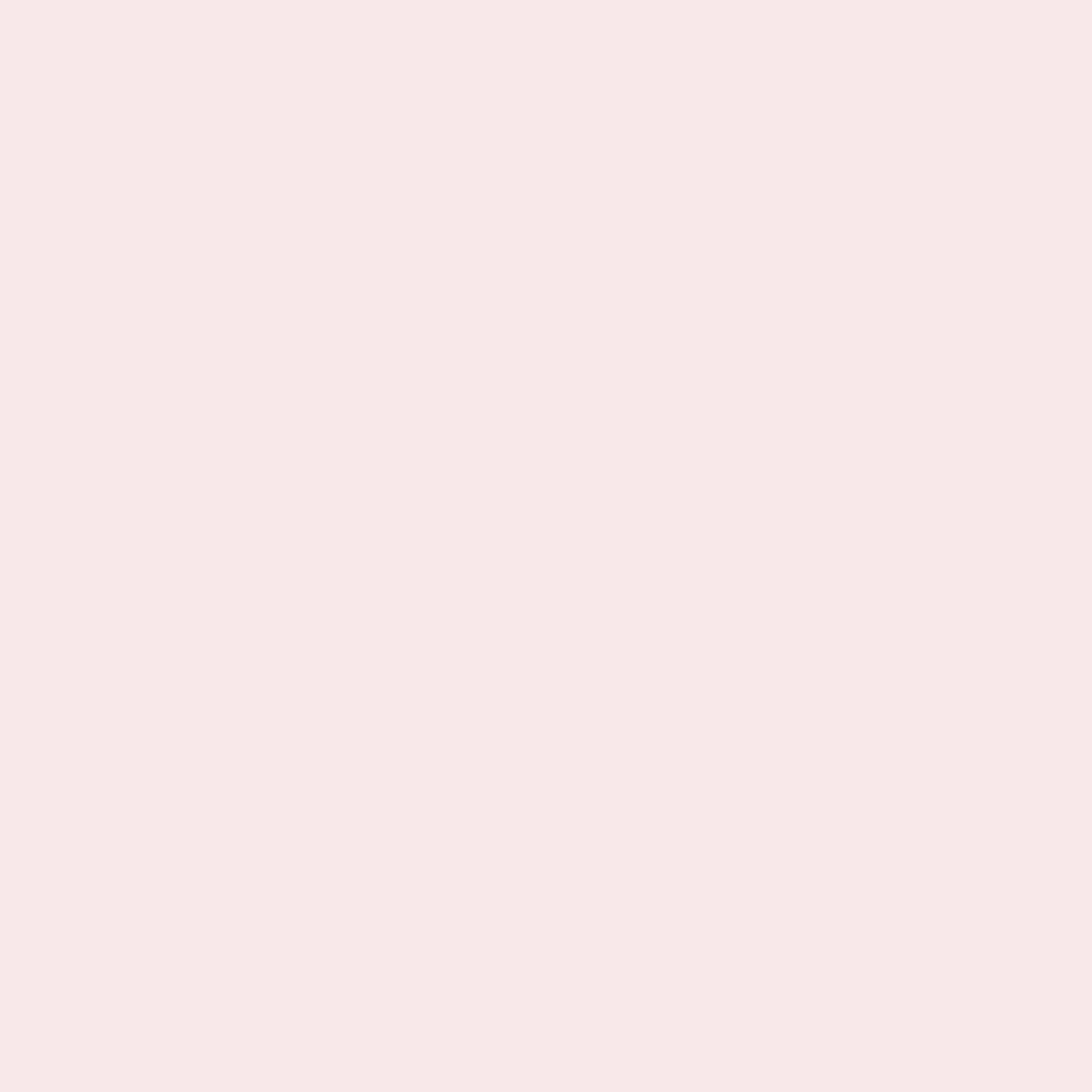 2081-70 Flush Pink – Drive In Paint Mart